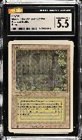 MTG / Graded Magic