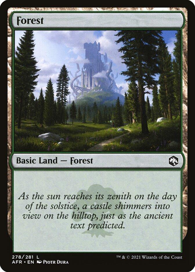 Forest | Adventures in the Forgotten Realms | Pioneer | Card Kingdom