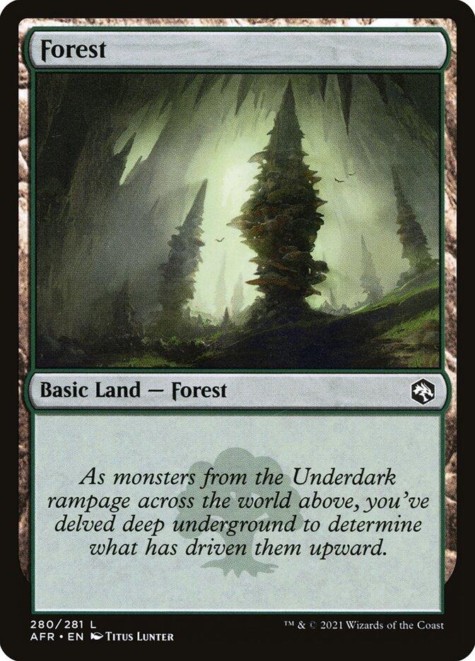 Forest | Adventures in the Forgotten Realms | Pioneer | Card Kingdom