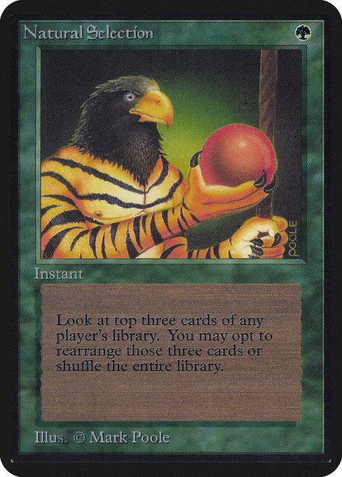 Natural Selection | Alpha | Card Kingdom