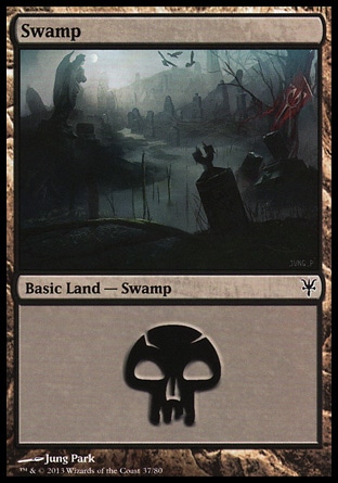 Swamp | Duel Decks: Sorin Vs. Tibalt | Card Kingdom