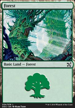 Forest | Duel Decks: Elves Vs. Inventors | Card Kingdom