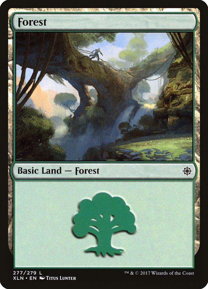 Forest | Ixalan | Modern | Card Kingdom