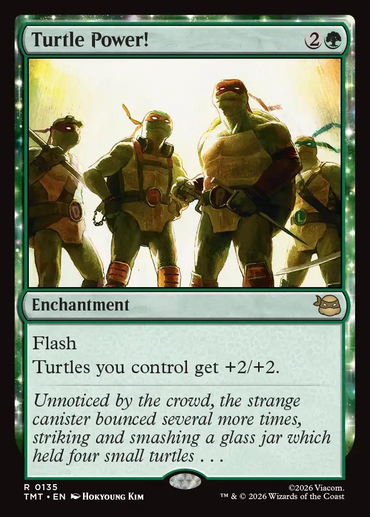 Teenage Mutant Ninja Turtles: Turtle Power!